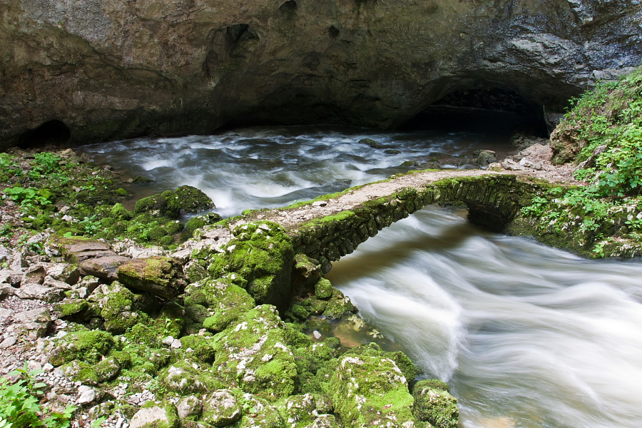 The rakov škocjan valley | Slovenian Bears